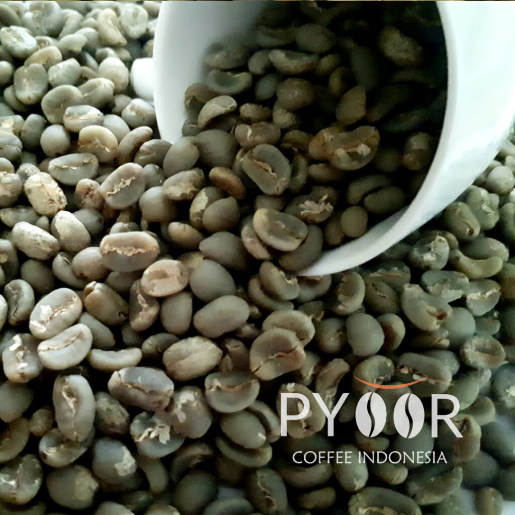 Arabica Toraja Sapan – Grade 2 – Pyoor Coffee Indonesia